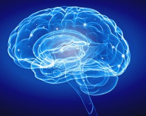 Flexible Hubs in the Brain Facilitate Learning (iLs)