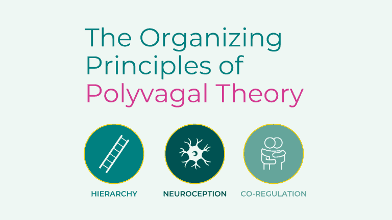 The Organizing Principles of Polyvagal Theory - Unyte Integrated Listening